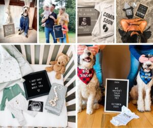 10 Adorable Letter Board Pregnancy Announcements - The Postpartum Party