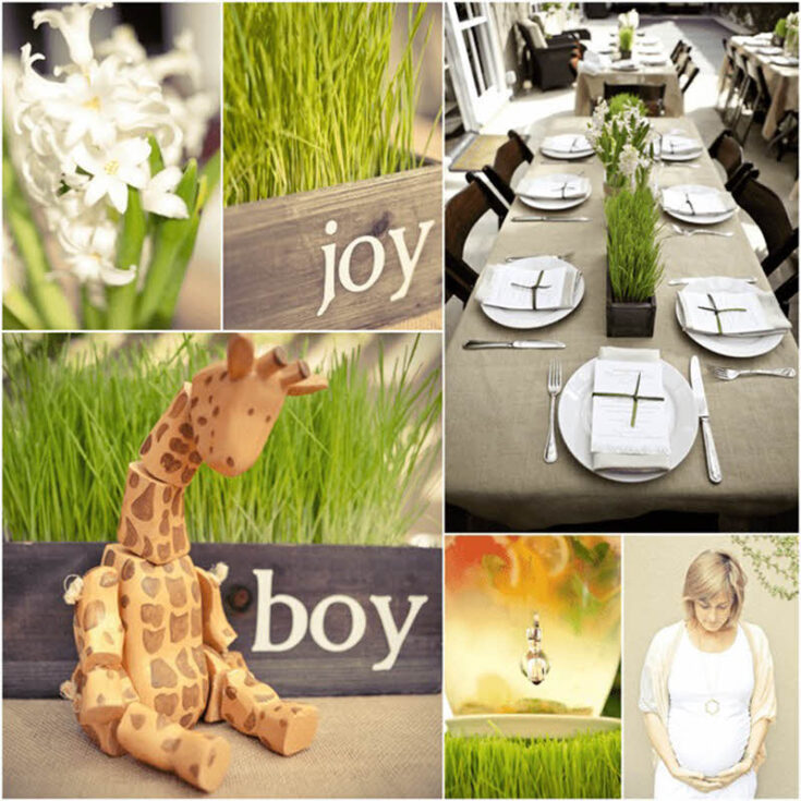 25 Darling Baby Shower Themes for Spring