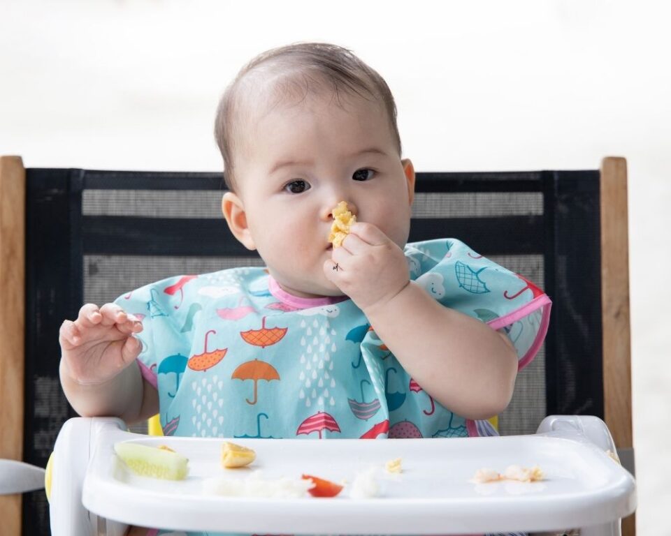 Signs of Readiness and Tips for Baby Led Weaning (BLW)
