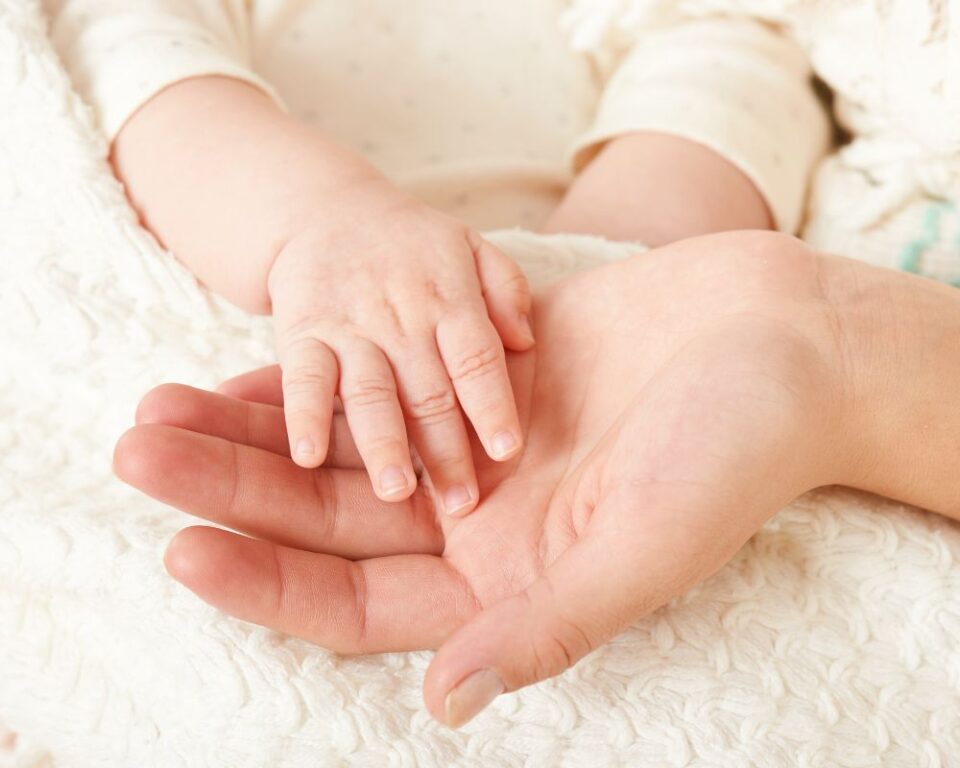 Hatch Rest vs Rest Plus: What's the Difference? - The Postpartum Party