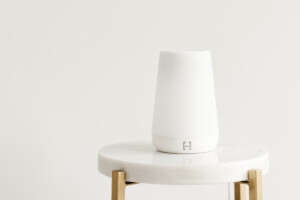 Hatch Rest vs Rest Plus: What's the Difference? - The Postpartum Party