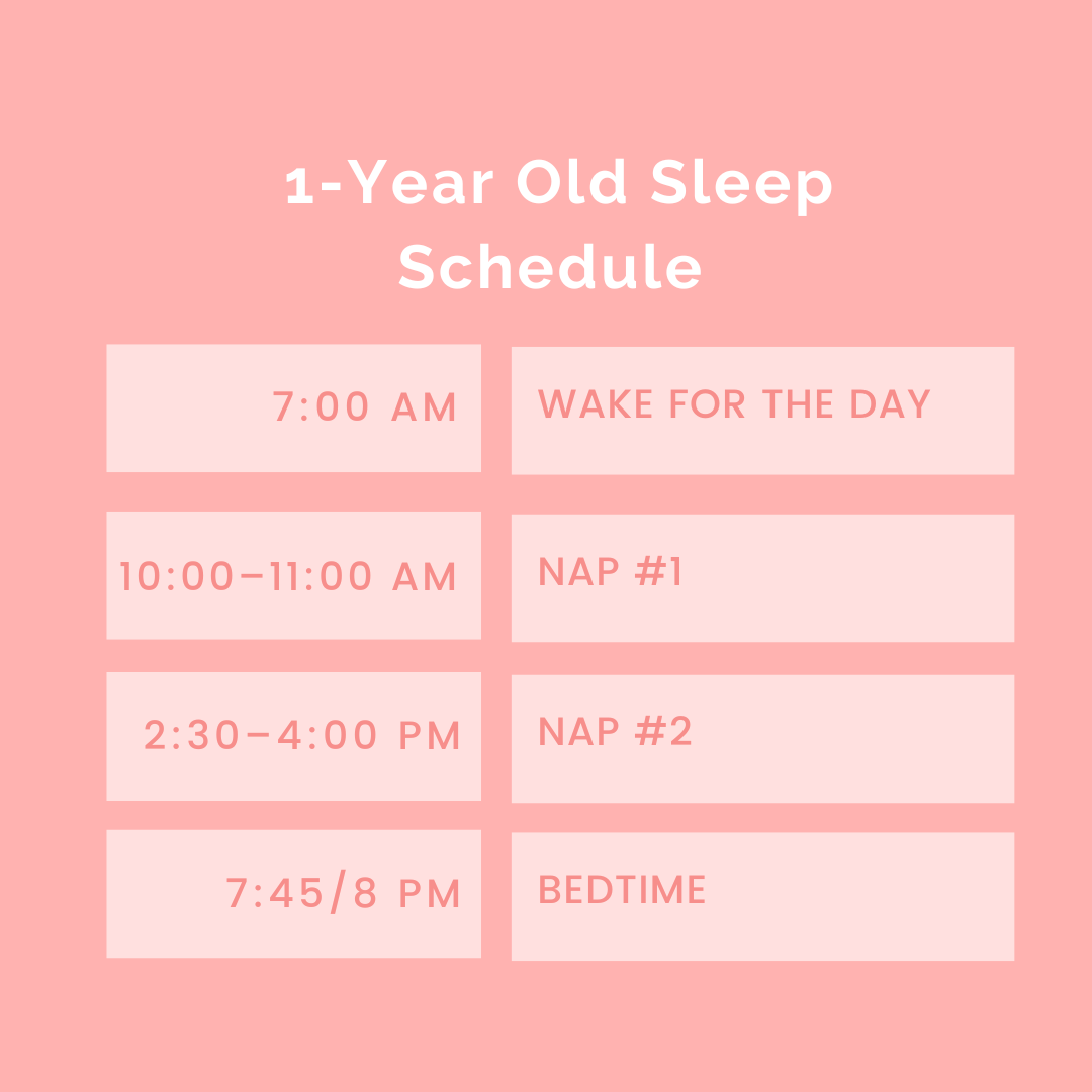 12 Month Old Sleep Schedule (Naps & Bed) - The Postpartum Party