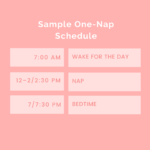 When Do Babies Drop to One Nap (& How to Make the Transition)